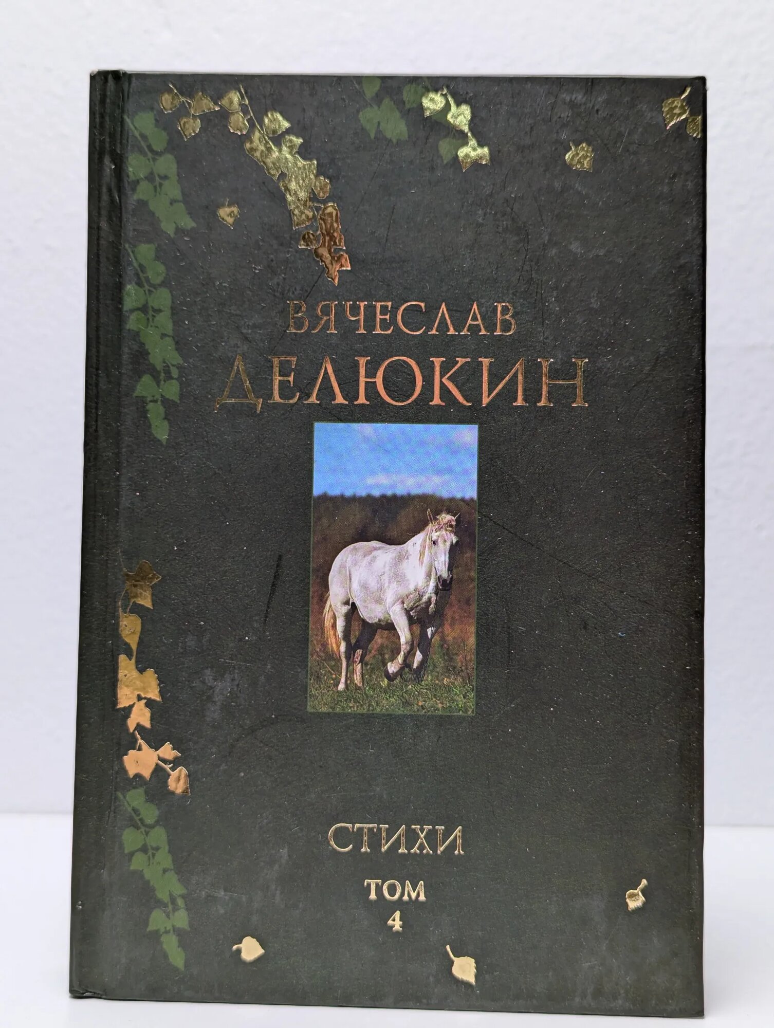 В. В. Делюкин. Стихи. Том 4 Делюкин Вячеслав Владимирович 2007