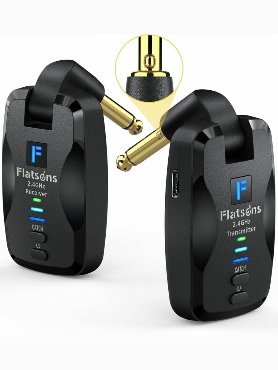 Беспроводная гитарная радиосистема Flatsons FW2D