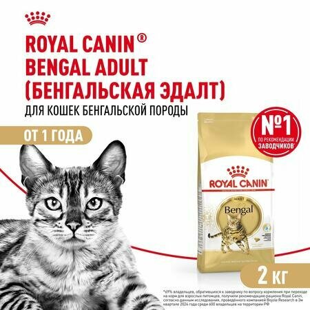 ROYAL CANIN BENGAL ADULT 2 кг корм для взрослых бенгальских кошек старше 12 месяцев