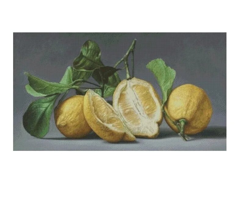 Набор для вышивки крестом Dahlia «Натюрморт лимонов» 18CT, Black White symbols, 18CT unprint canvas