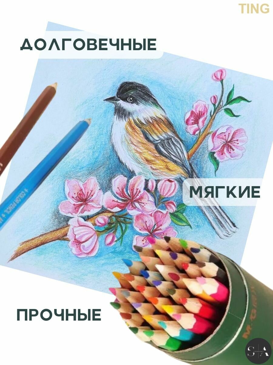 Набор карандашей — фото 1