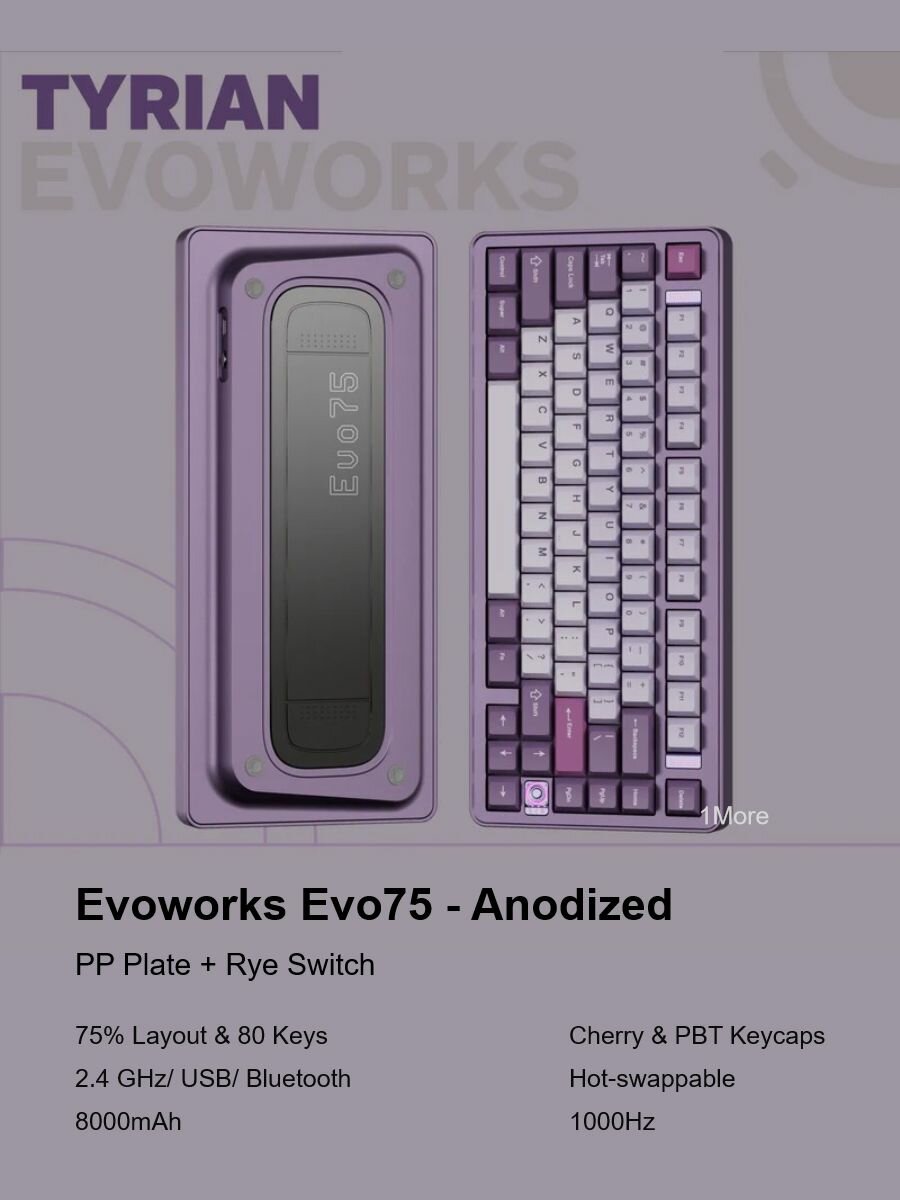 Игровая клавиатура Evoworks Evo75, PP Plate + Rye Switch, QQZ, YANG JI ZI
