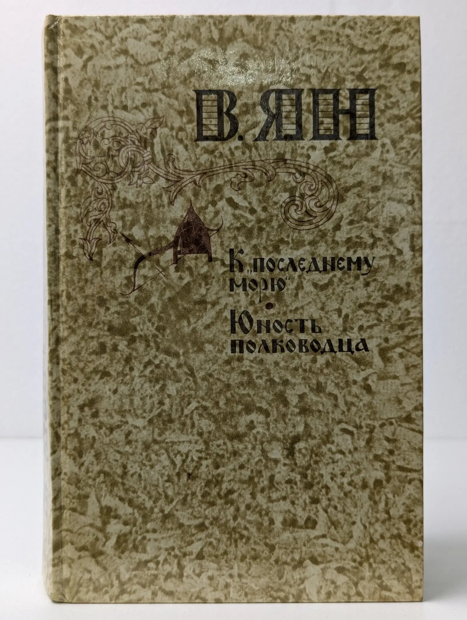 К последнему морю. Юность полководца Ян Василий Григорьевич 1981