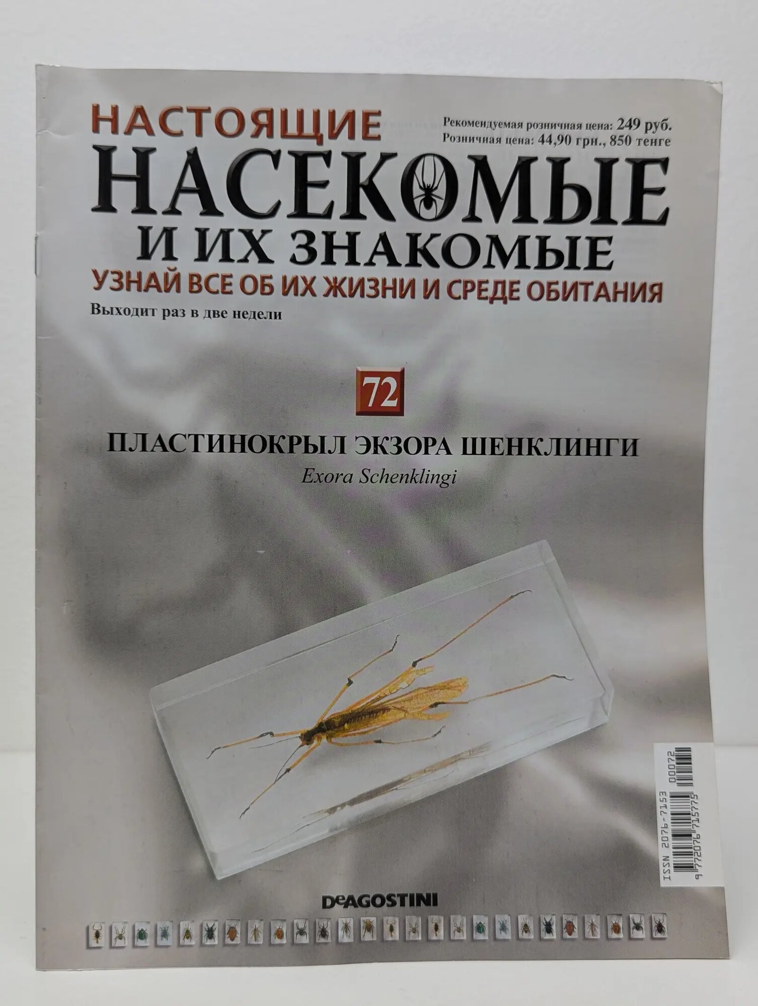 Насекомые и их знакомые. Узнайте все об их жизни и среде обитания. Пластинокрыл Экзора Шенклинги Сборник 2012
