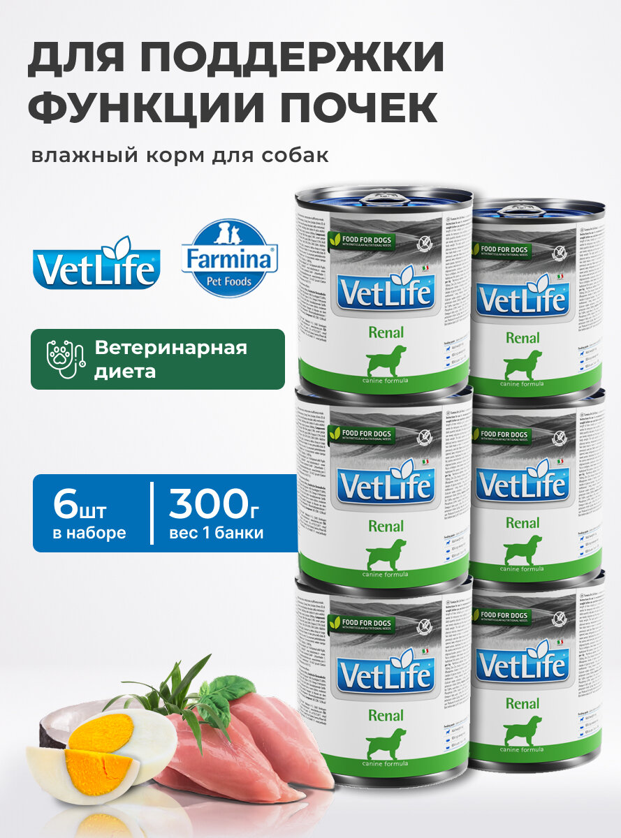 Влажный корм Farmina Vet Life, для собак с заболеваниями почек, 300 г, 6 шт