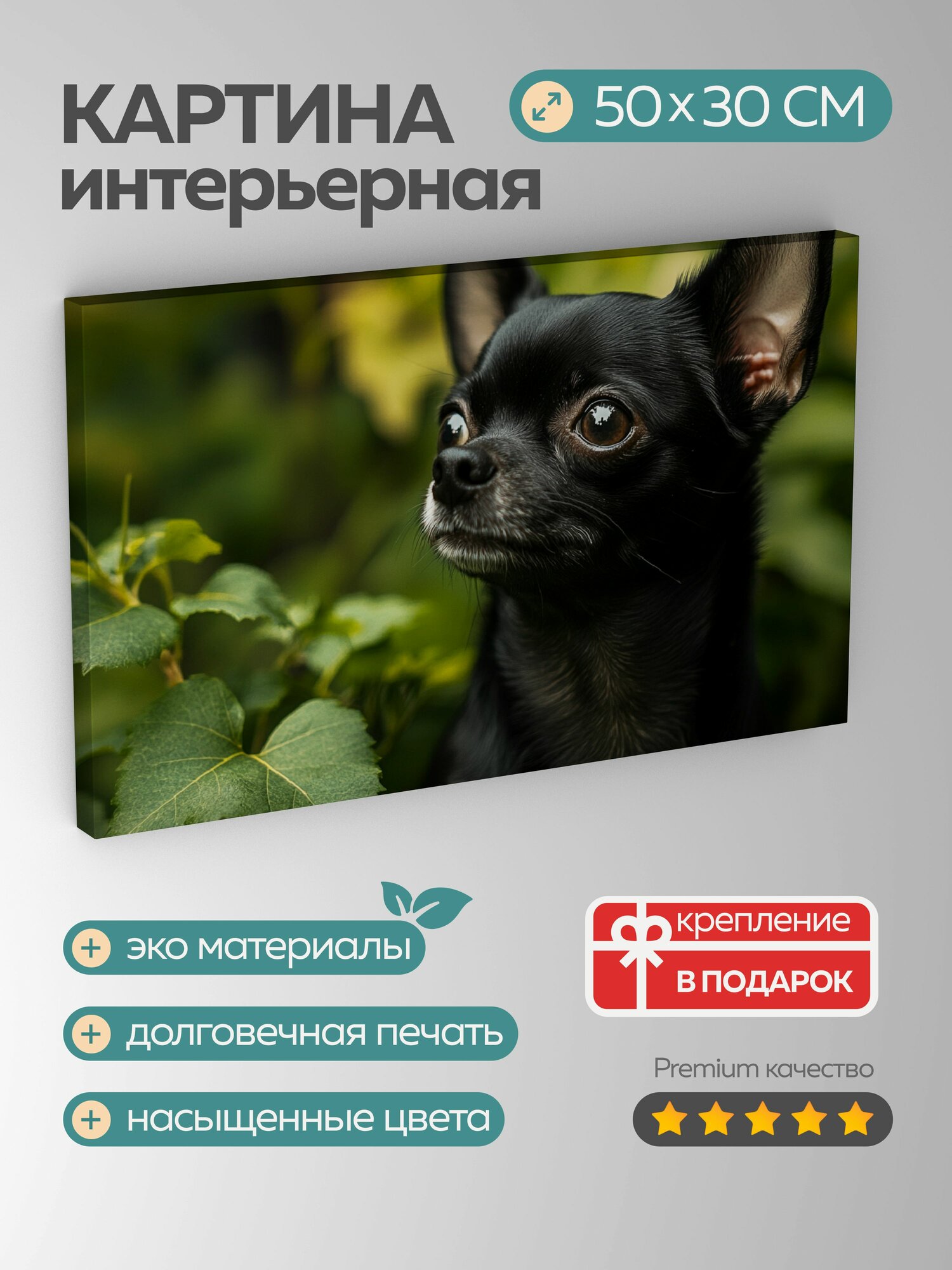 Картина на холсте интерьерная 50х30 см, Чихуахуа, черный, гладкий, динамичная поза, яркая зелень, контраст, природа