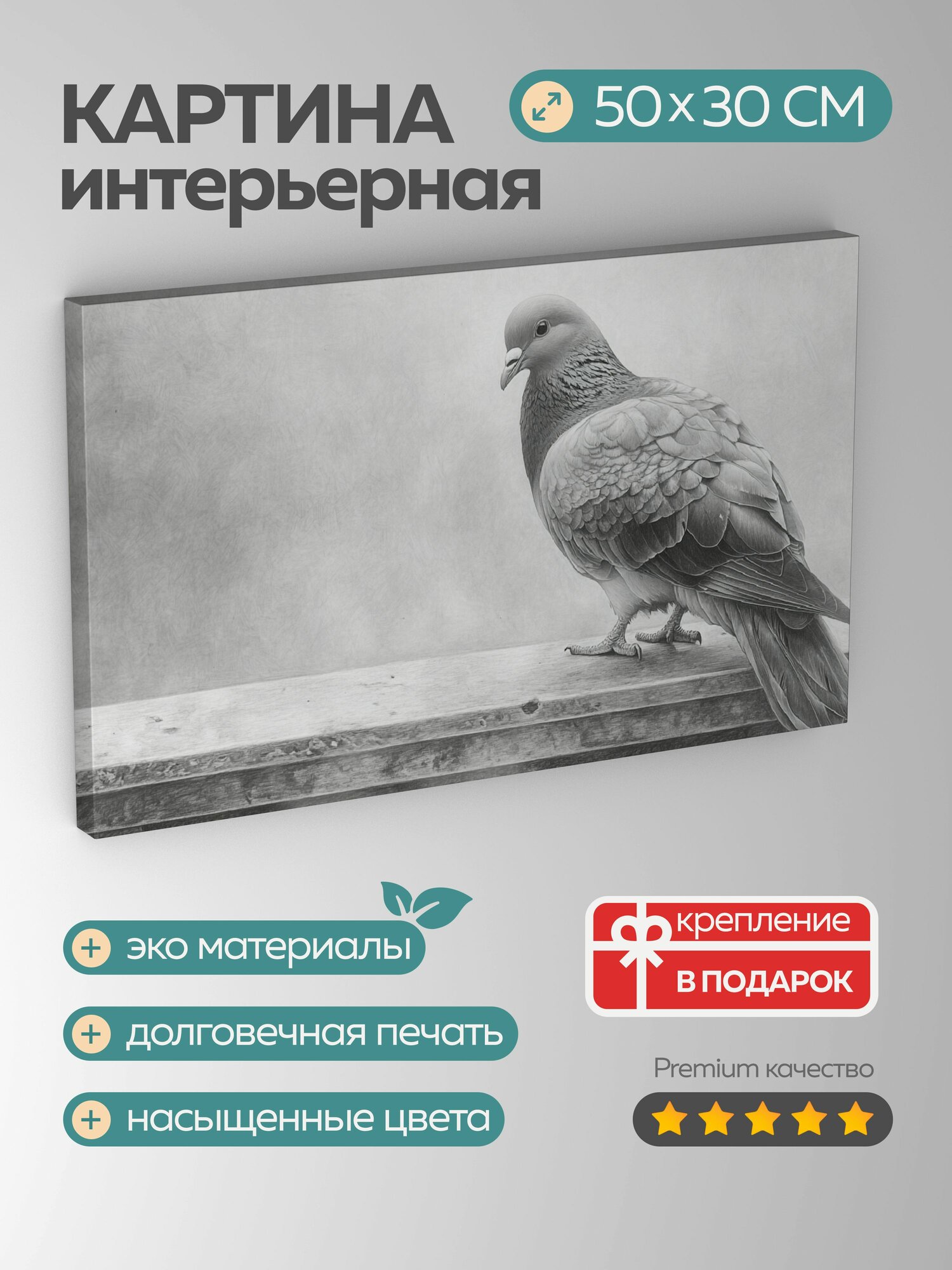 Картина на холсте интерьерная 50х30 см, графитовый рисунок, голубь, текстура перьев, растушевка, парковая скамейка