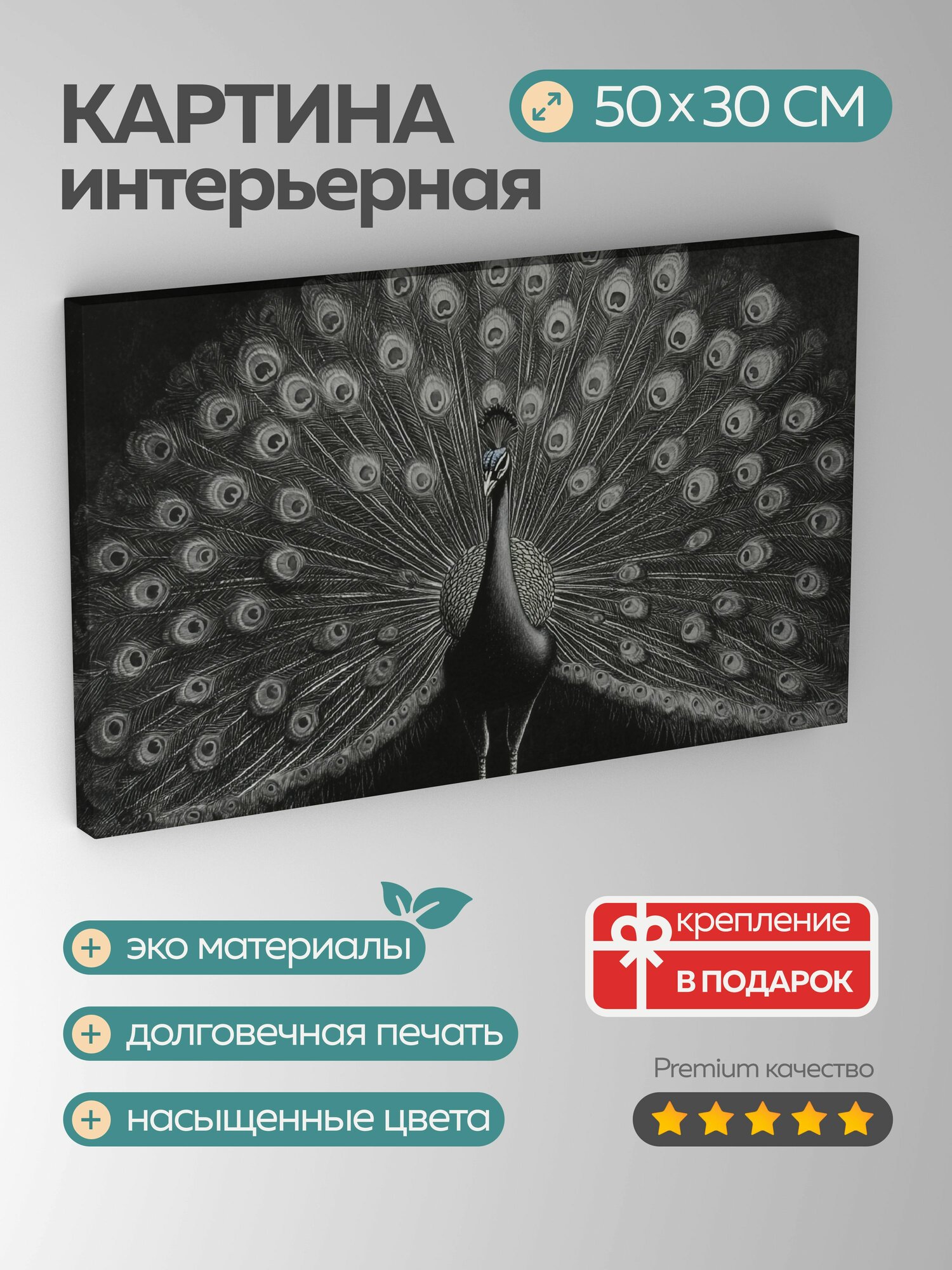 Картина на холсте интерьерная 50х30 см, Павлин, уголь, перья, величественный, детальный, рисунок, красота, великолепие
