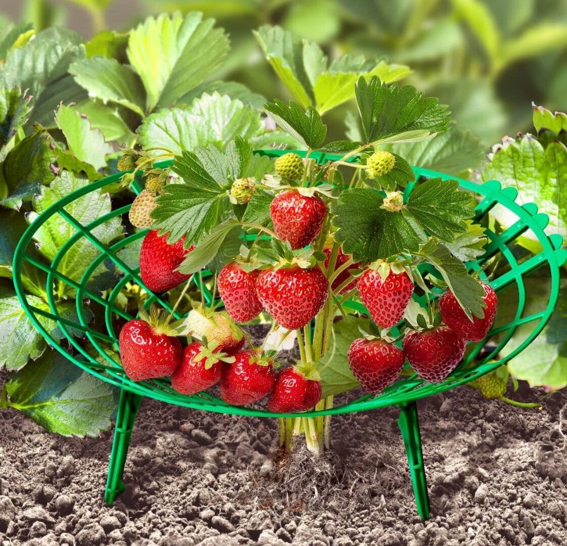 Подставка под клубнику в саду МастерСад, диаметр 28/30/33 см, в наборе 20 шт.