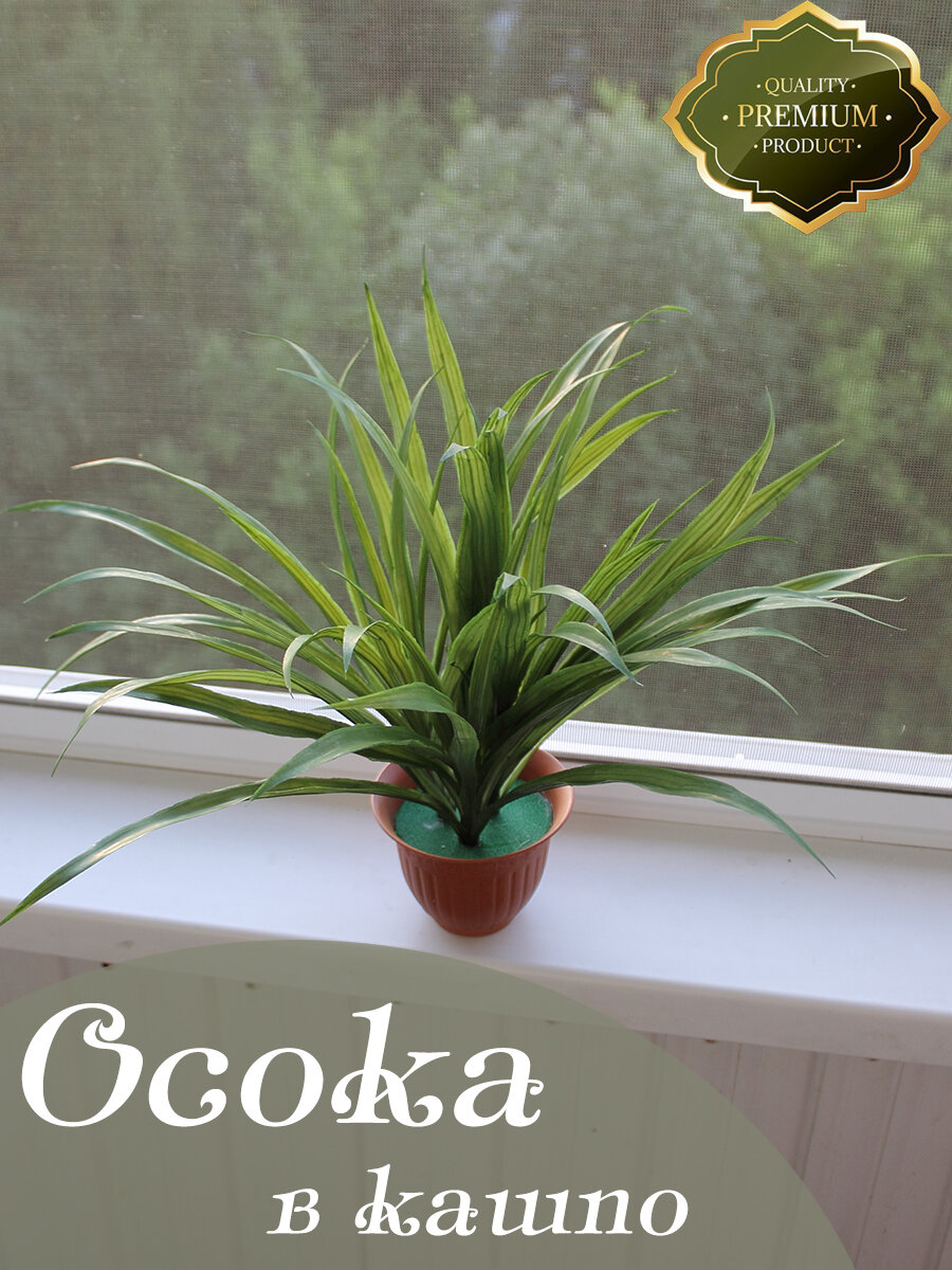 Искусственные растения осока в кашпо от бренда Holodilova