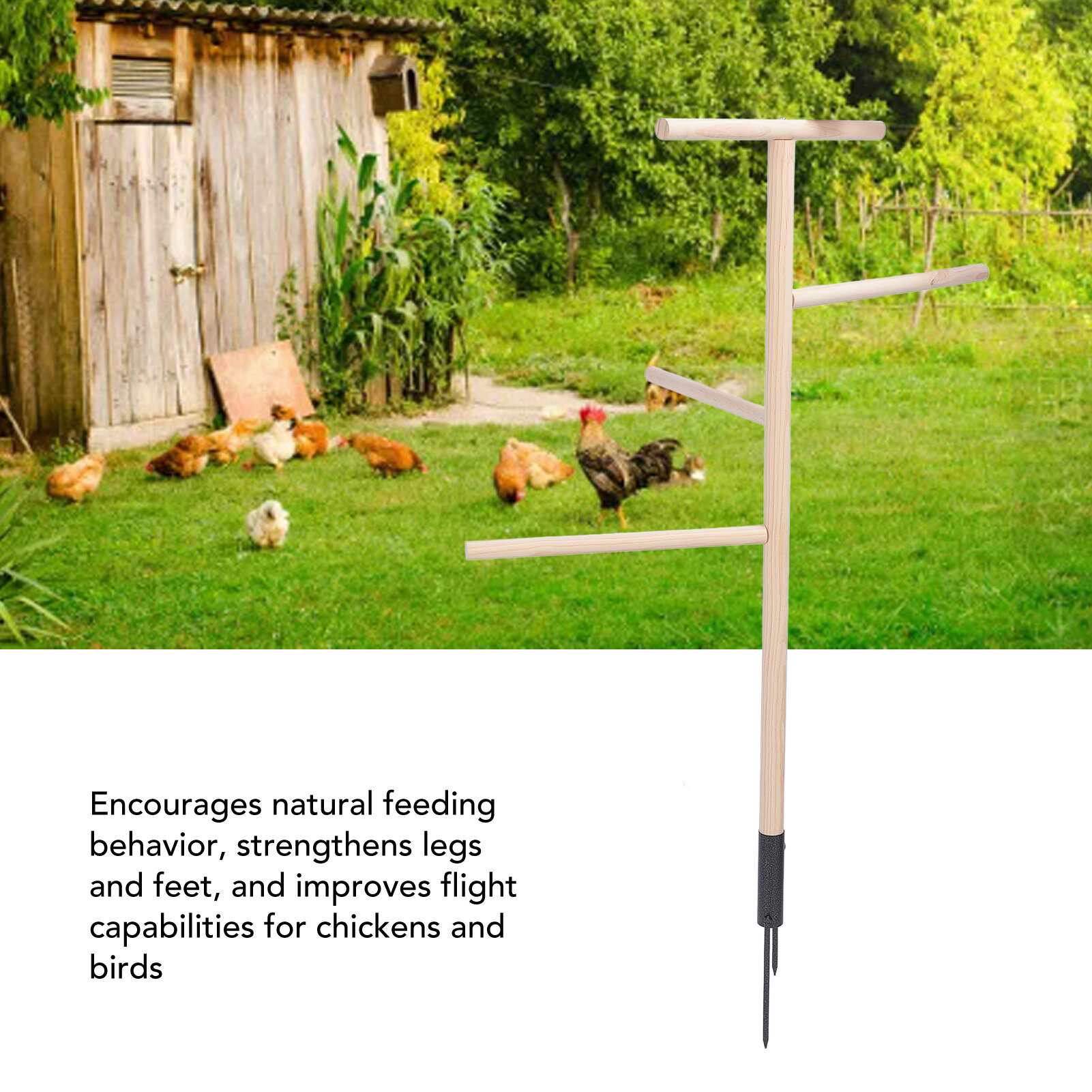 Игрушка для курятника Деревянная подставка для курятника с железной заглушкой для заземления Аксессуары для курятника