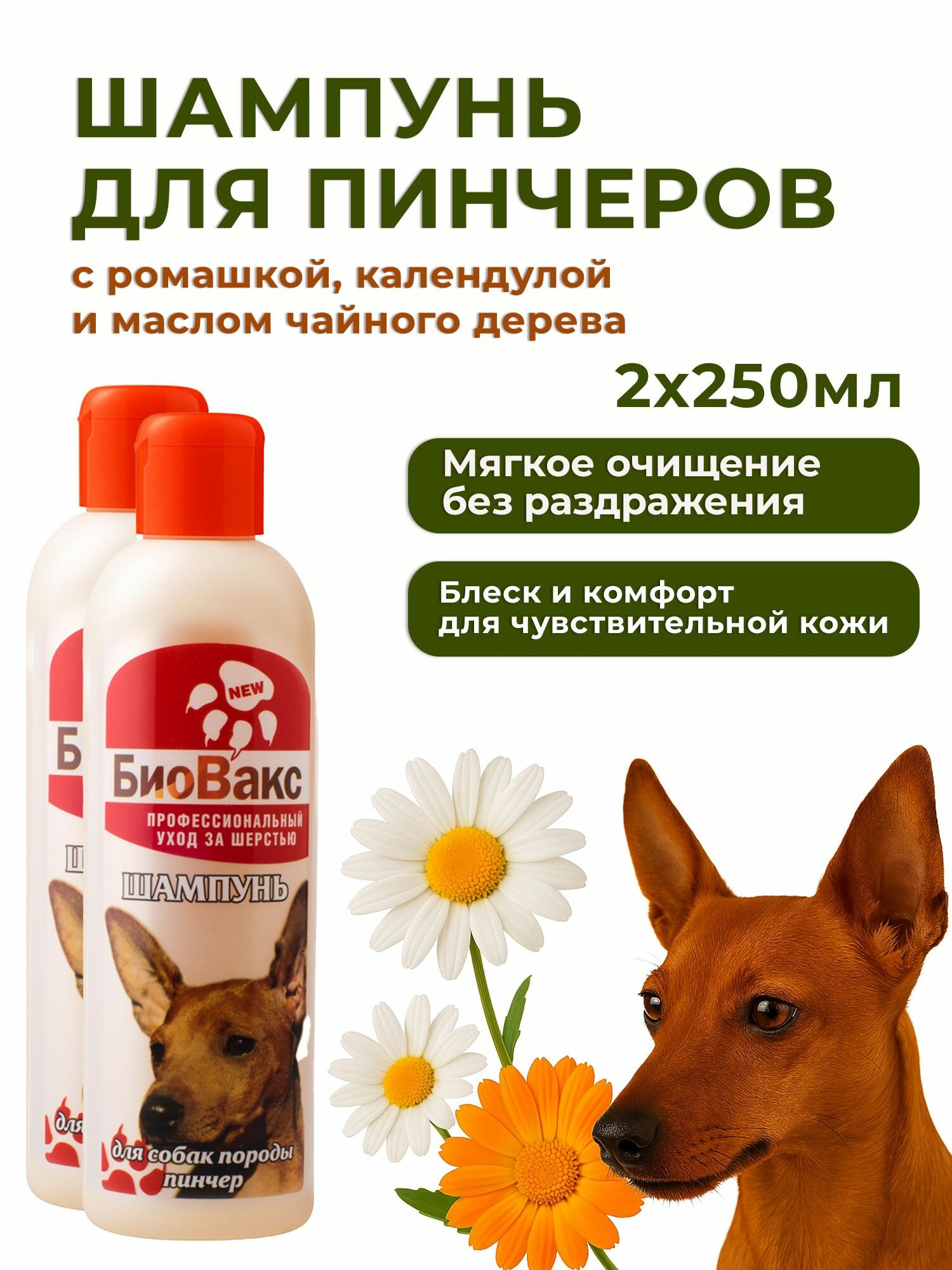БиоВакс Шампунь для собак породы пинчер, с экстрактами ромашки и календулы и маслом чайного дерева, 250мл (2 флакона)
