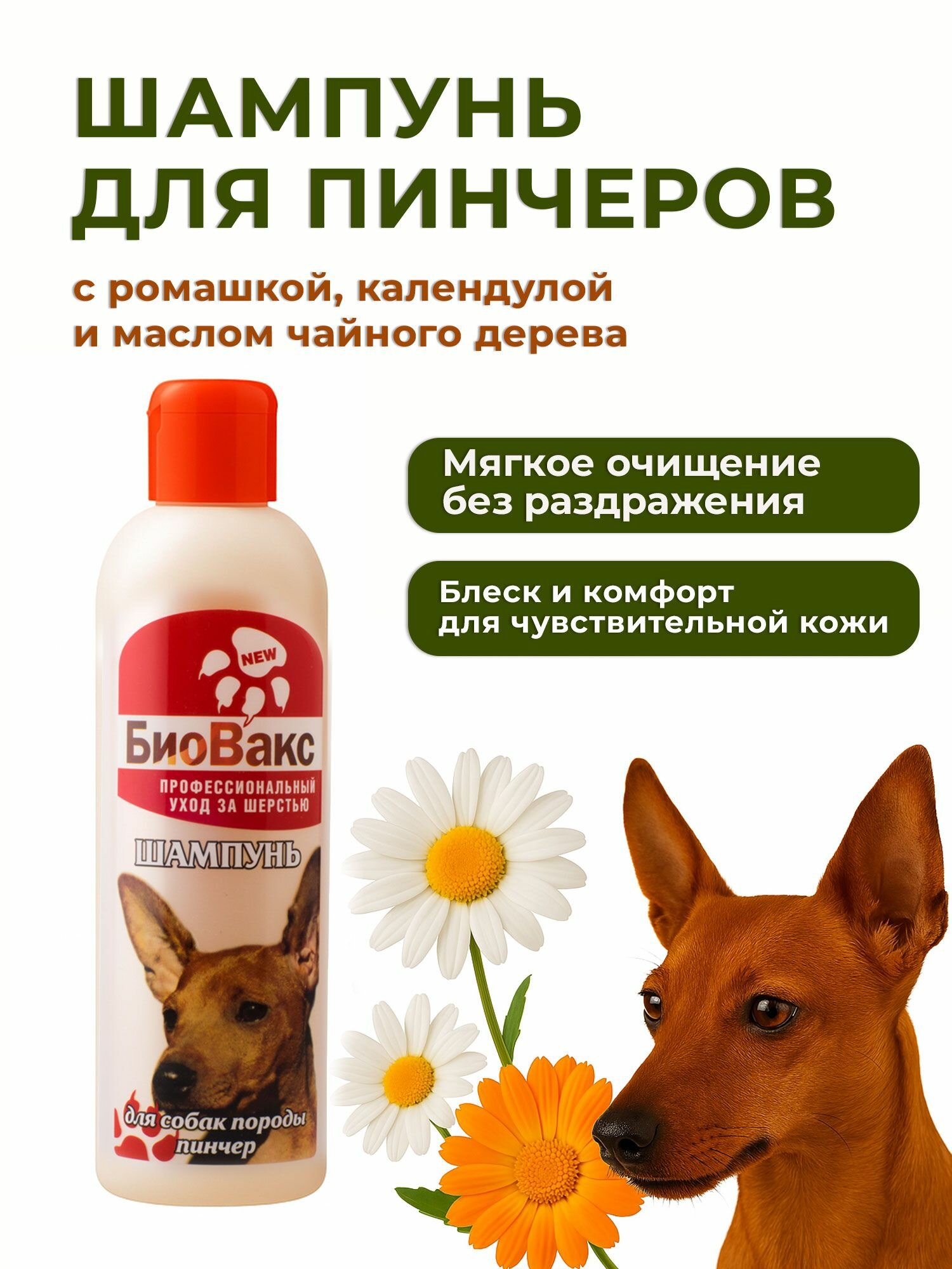 БиоВакс Шампунь для собак породы пинчер, с экстрактами ромашки и календулы и маслом чайного дерева, 250 мл