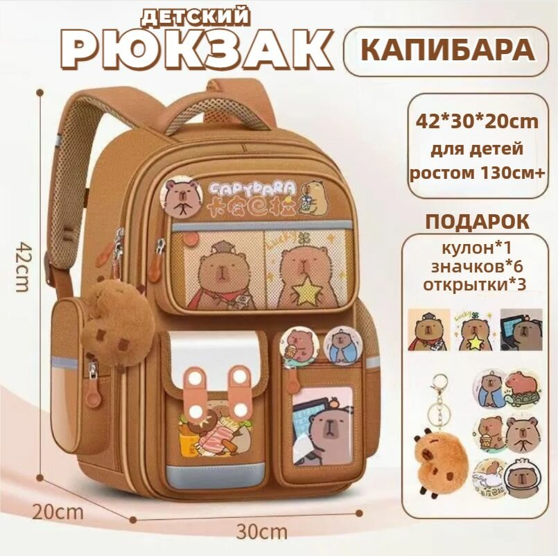 Рюкзак для школы, Школьные сумки для учеников, анатомическая спинка, Капибара, Кулоны/медали/наклейки в подарок