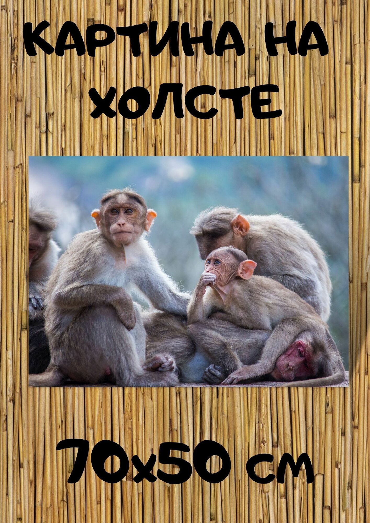 Картина с дикими животными "Семья обезьян" 70х50 см