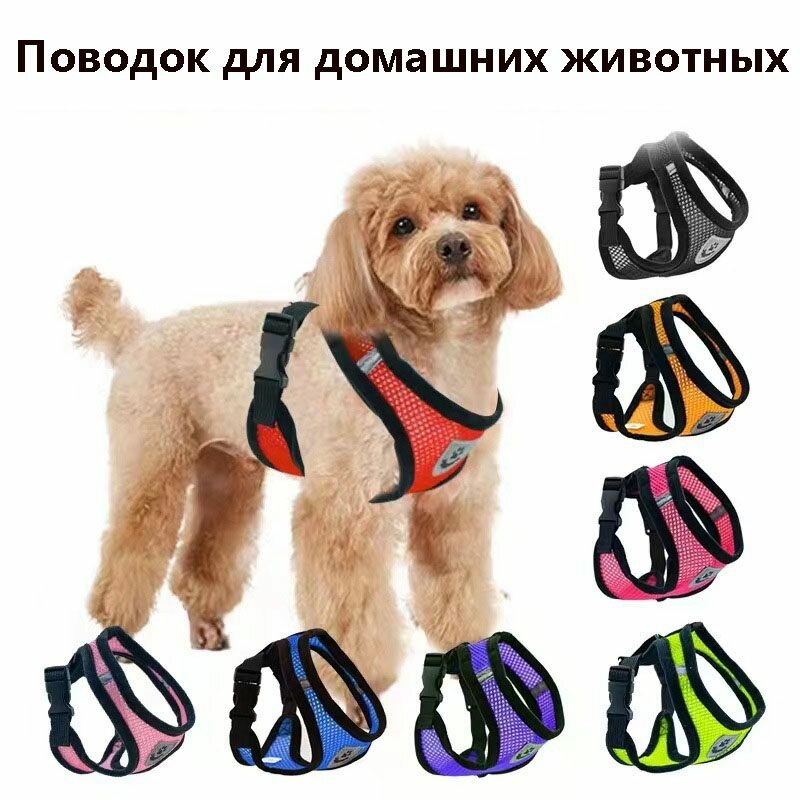 Шлейка