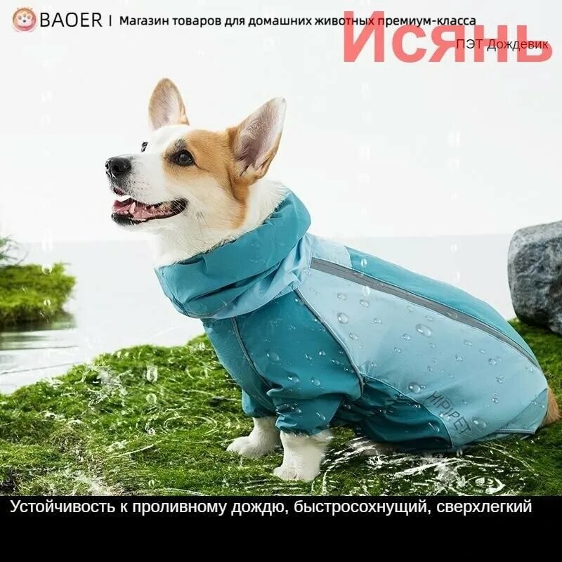 Комбинезон для собак мелких пород Одежда для корги и такс