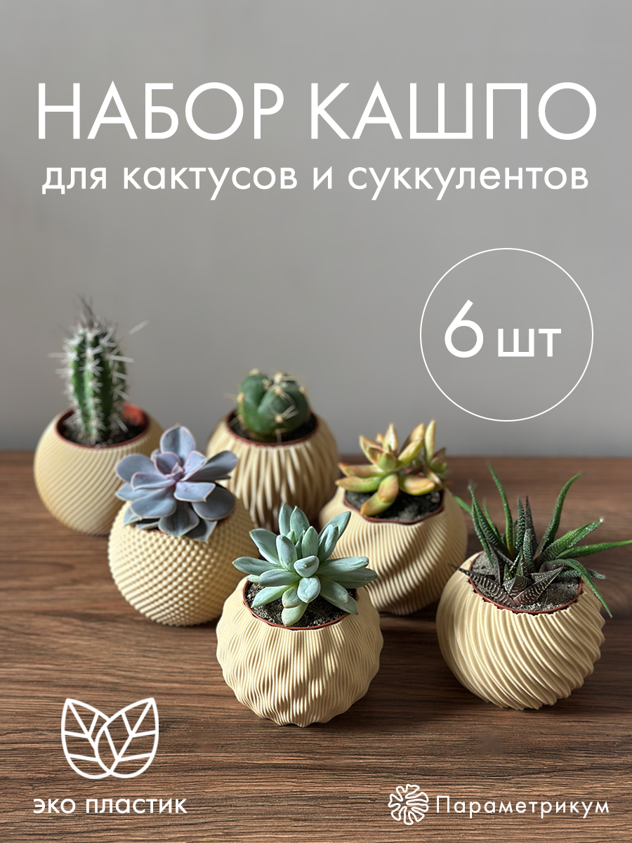 Набор кашпо для кактусов и суккулентов, 6 шт, эко PLA-пластик
