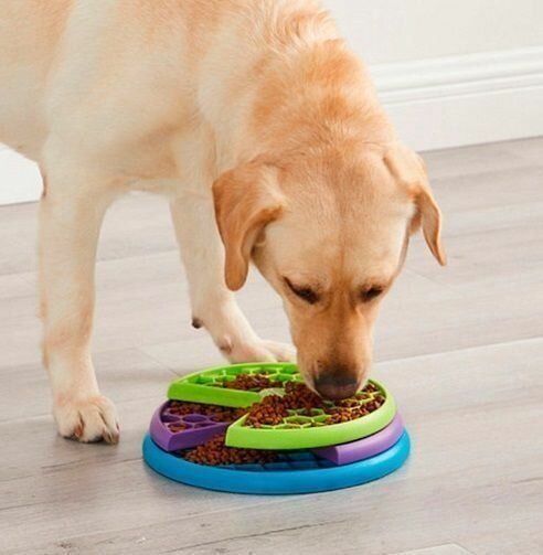 Nina Ottosson игрушка для медленного поедания корма Lickin'Layers, 2 (средний) уровень сложностиерактивная игрушка для собак DOG SMART - COMPOSITE, 1 (начинающий) уровень сложности, 23 см