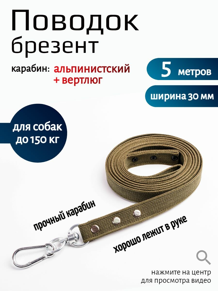 Поводок Хвостатыч для собак с вертлюгом брезент 5 м х 30 мм (зеленый)