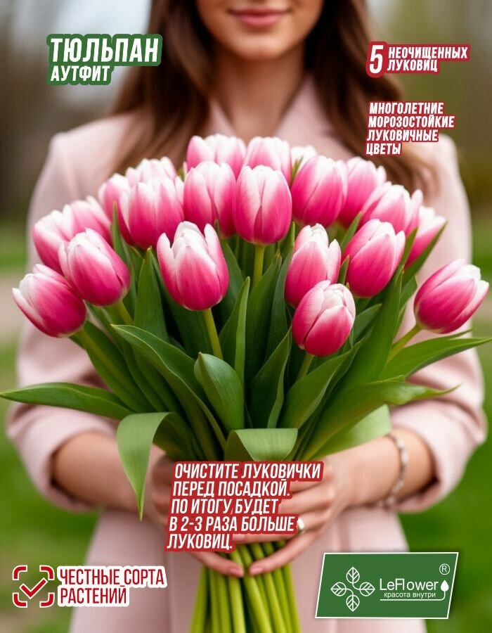 Тюльпан Луковица, Аутфит, 5+ шт