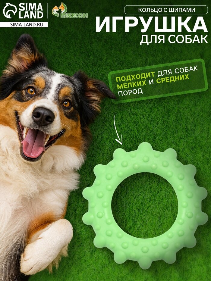 Жевательная игрушка для собак Кольцо с шипами, 8.5 см, TPR, зелёная, 2 шт.