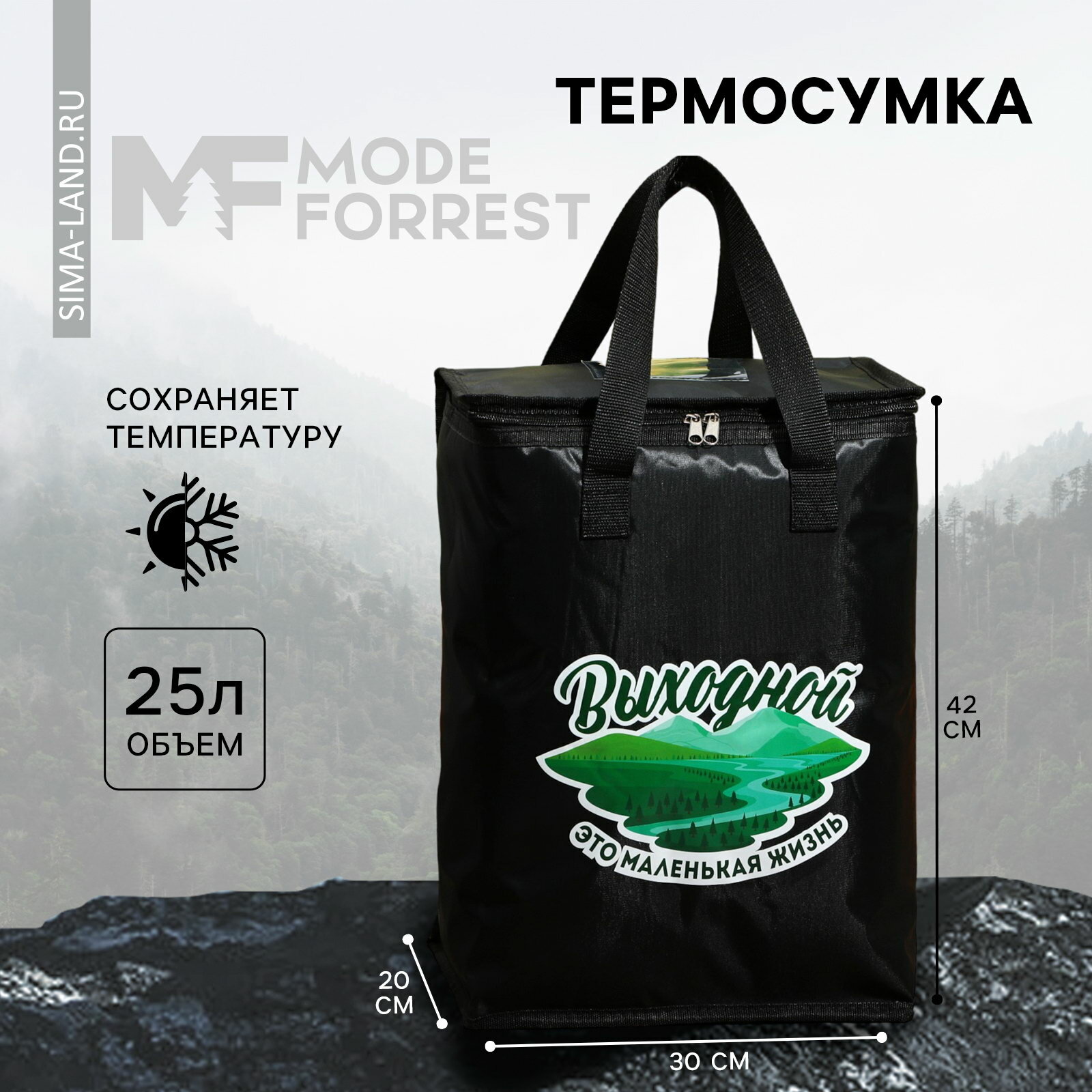 Термосумка "Выходной", 25 л, цвет: чёрный, вид: термосумка, размер упаковки: 30 x 41 x 2 см.