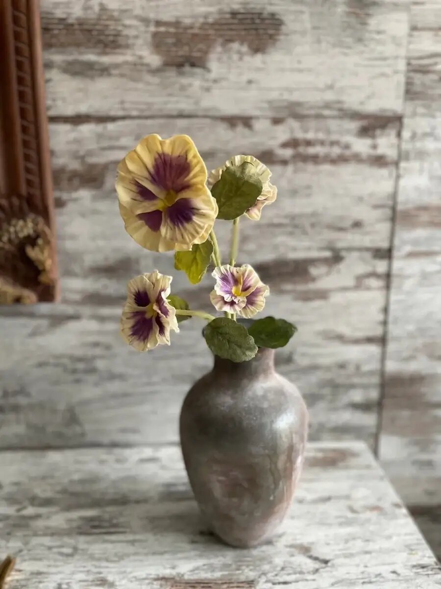 Анютины глазки бело-голубые, 30 см