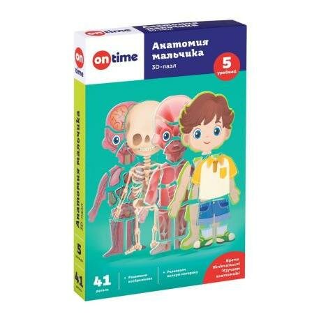 Пазлы Shantou "On Time", Анатомия мальчика, 3D, 41 деталь, 5 уровней, правила, в коробке, от 3 лет