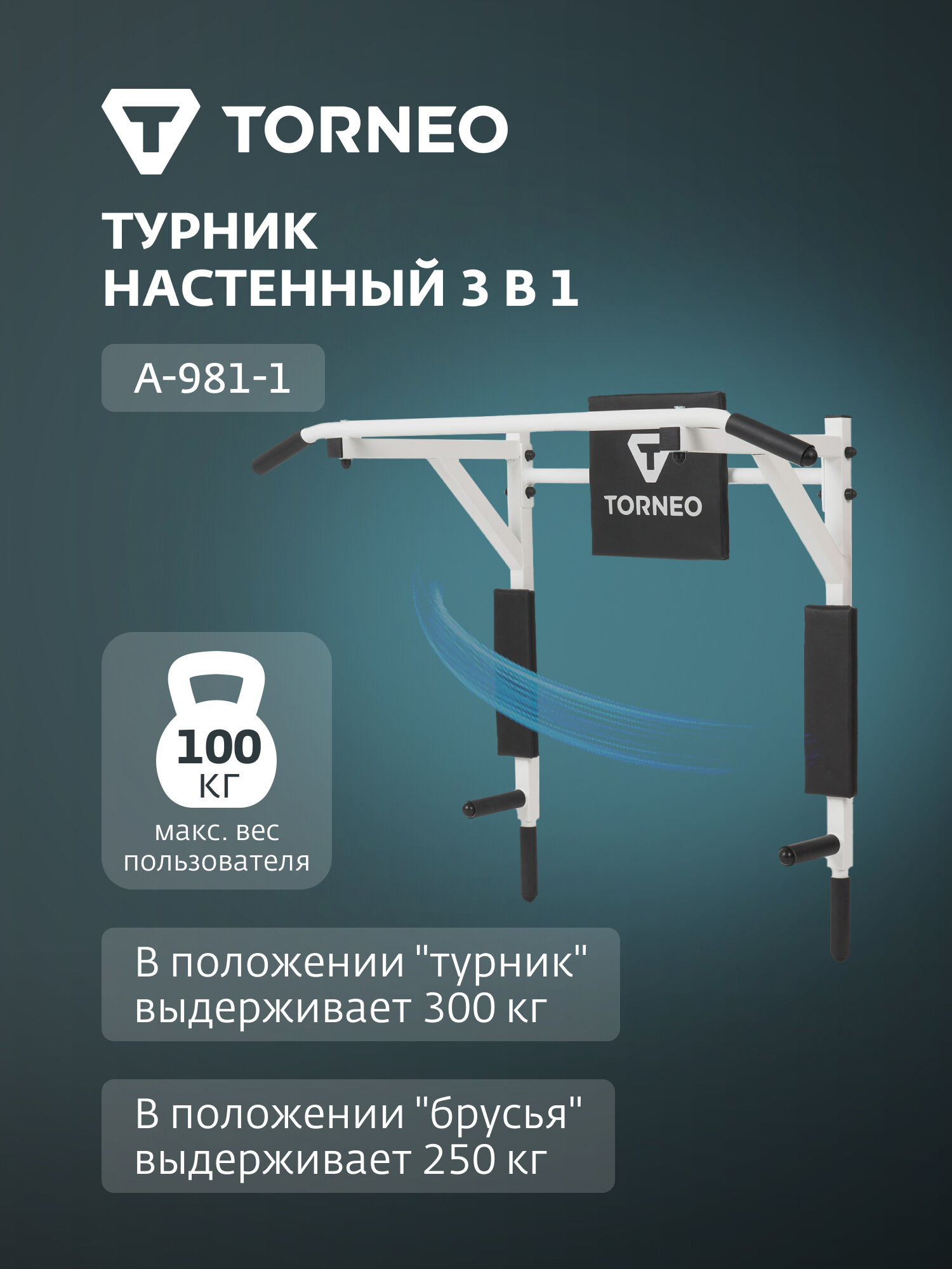 Турник настенный 3 в 1 Torneo A-981-1