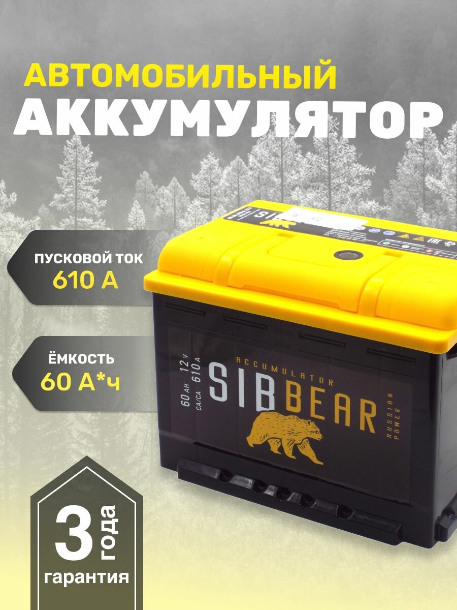Аккумулятор для автомобилей SIBBEAR 60 А*ч п. п 242х175х190 Прямая полярность АКБ для машины