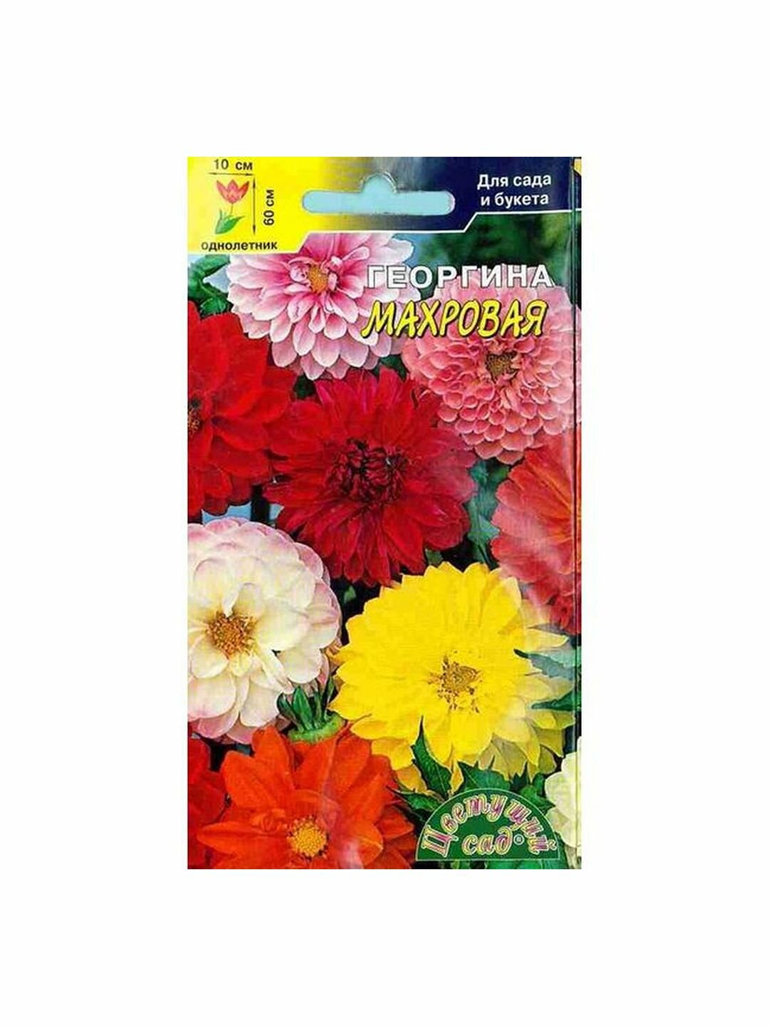Семена Георгина Махровая, смесь, однолетник, Цветущий Сад, 1 пачка - 0.2г семян