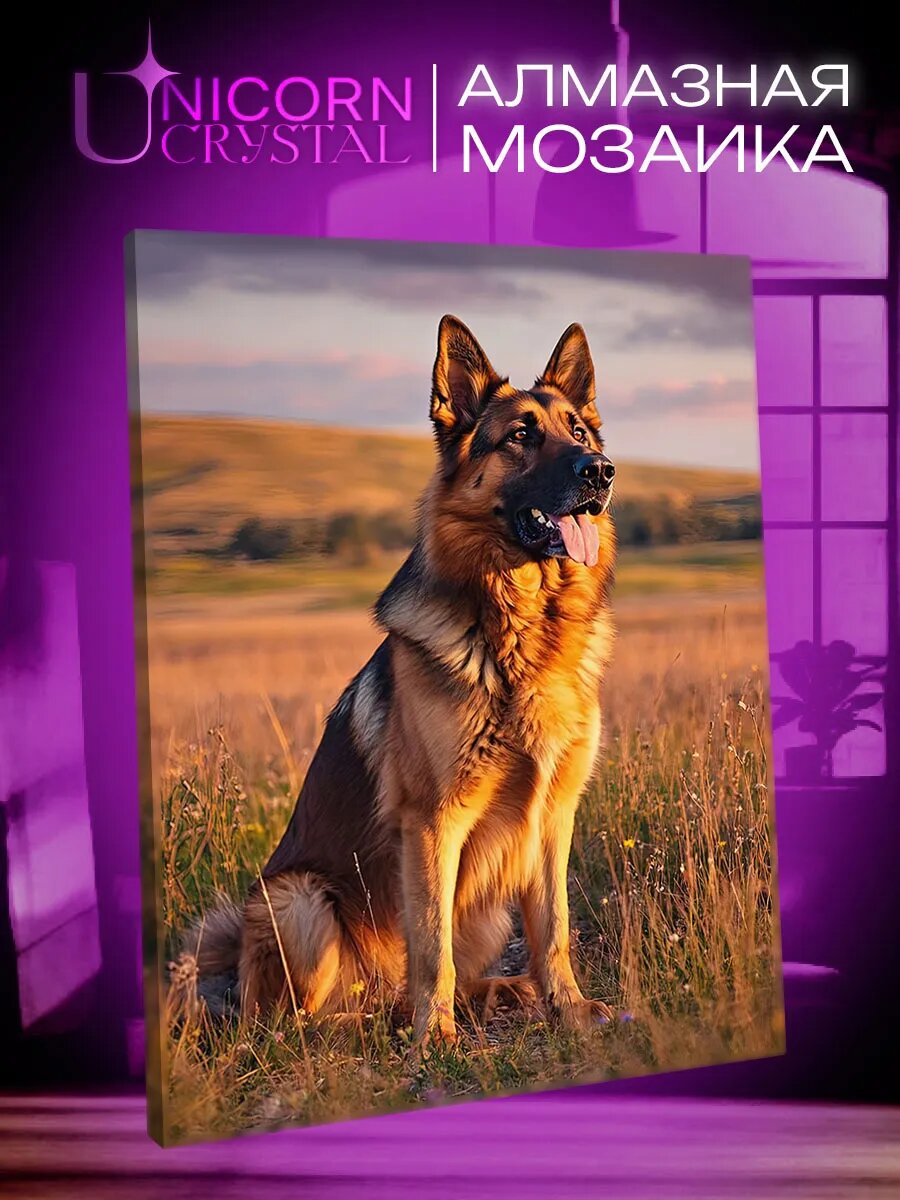 Алмазная мозаика Собака