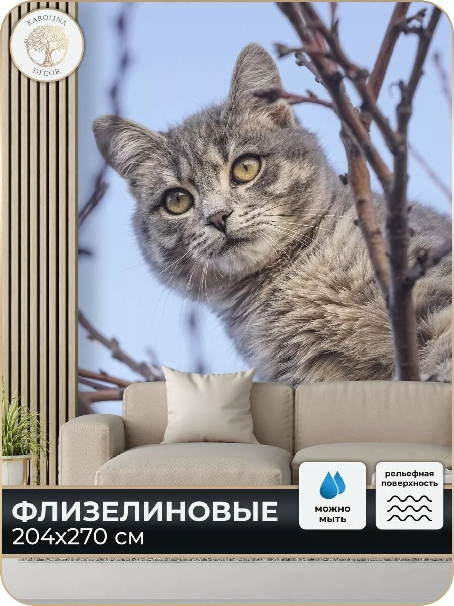 Фотообои Кошка в зал в спальню в комнату 200х270