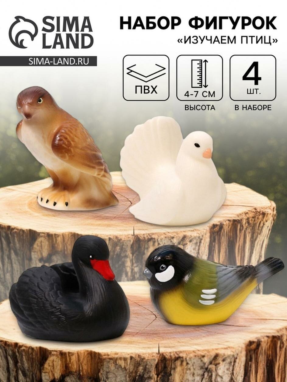 Игровой набор Весна "Изучаем птиц", ПВХ, 4 фигурки, коллекционный, 7-14 лет