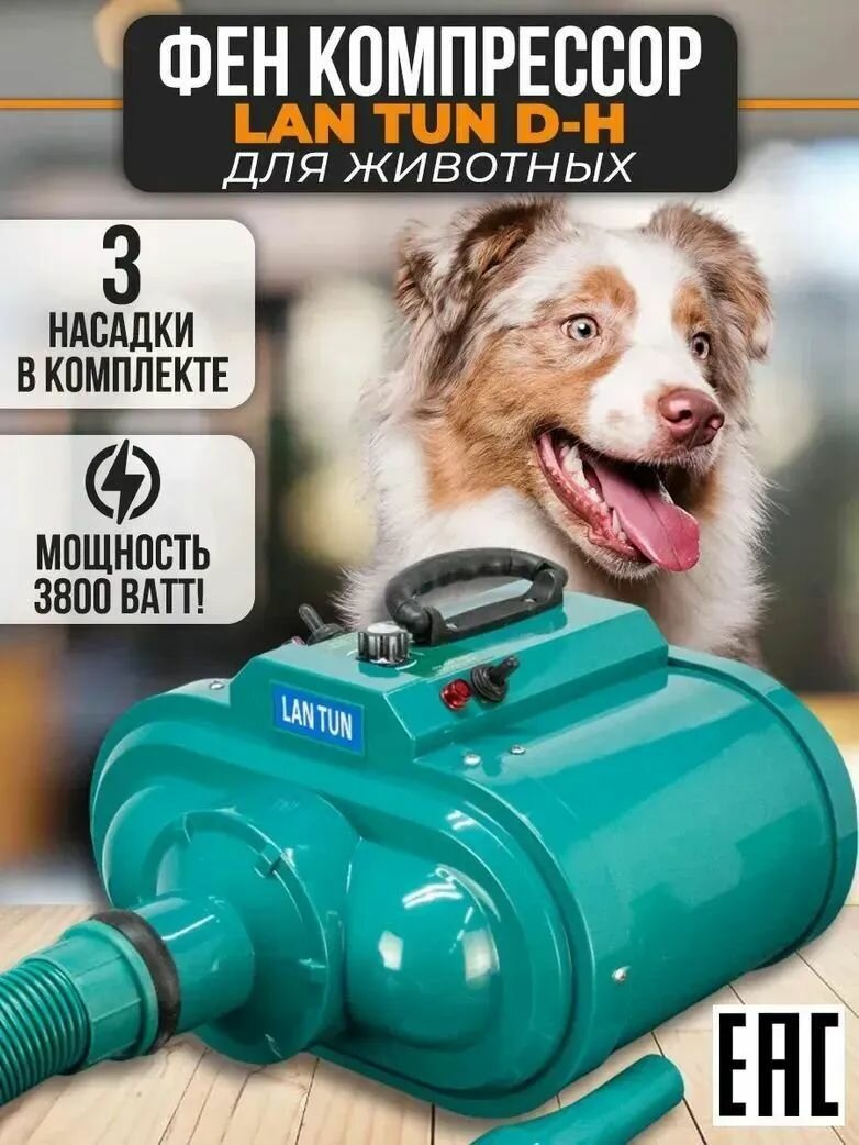 Фен для сушки шерсти животных