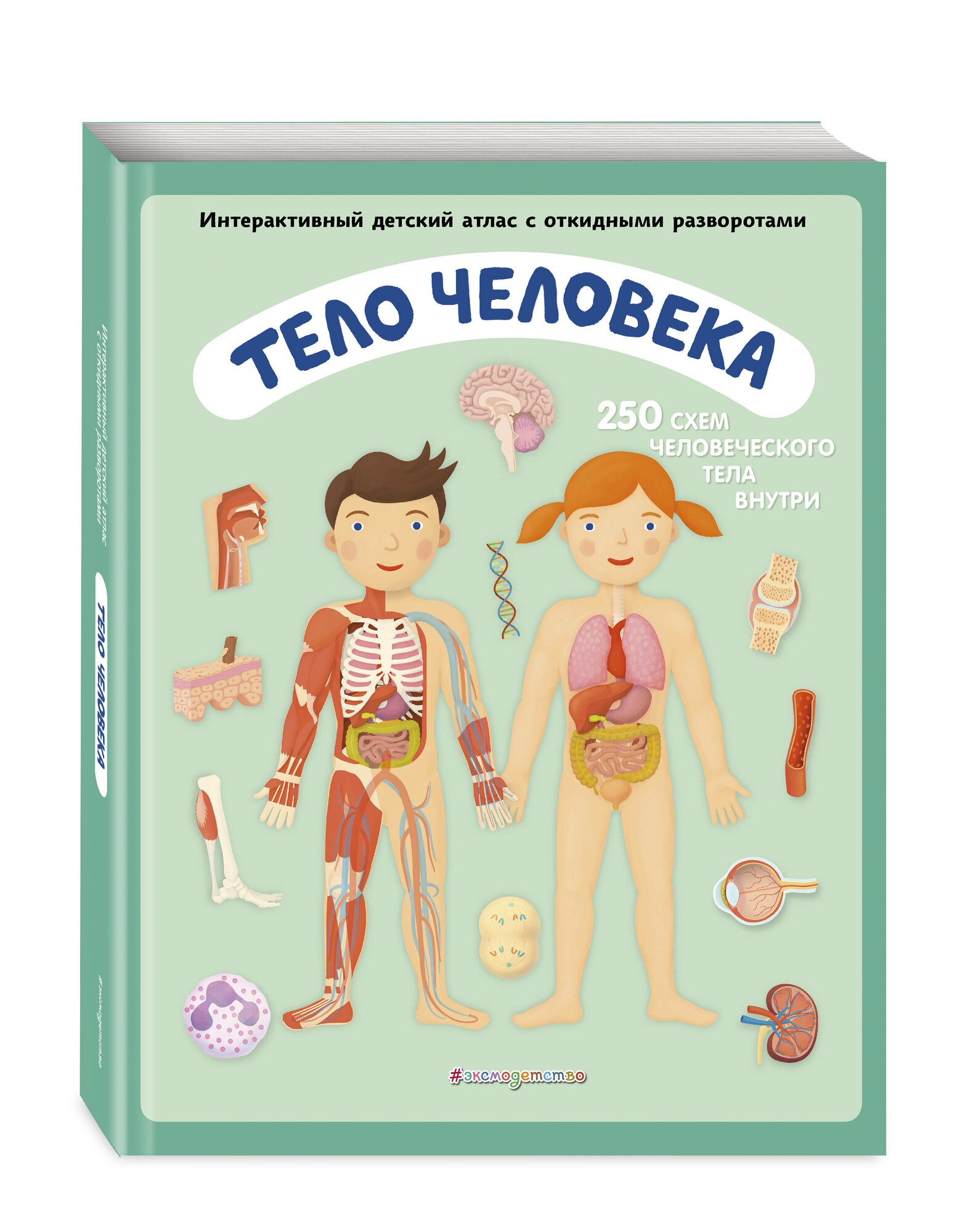 Ружичка О. Тело человека. Интерактивный детский атлас с откидными разворотами