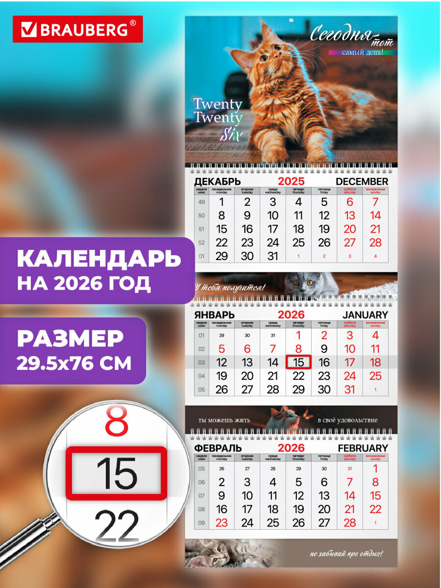 Календарь настенный 2026 год квартальный, 3 блока 3 гребня с бегунком, мелованная бумага, Brauberg Extra Котик, 116824