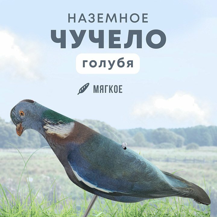 Подсадной голубь Taigan EVA скорлупка для обучения птиц и моделирования поведения