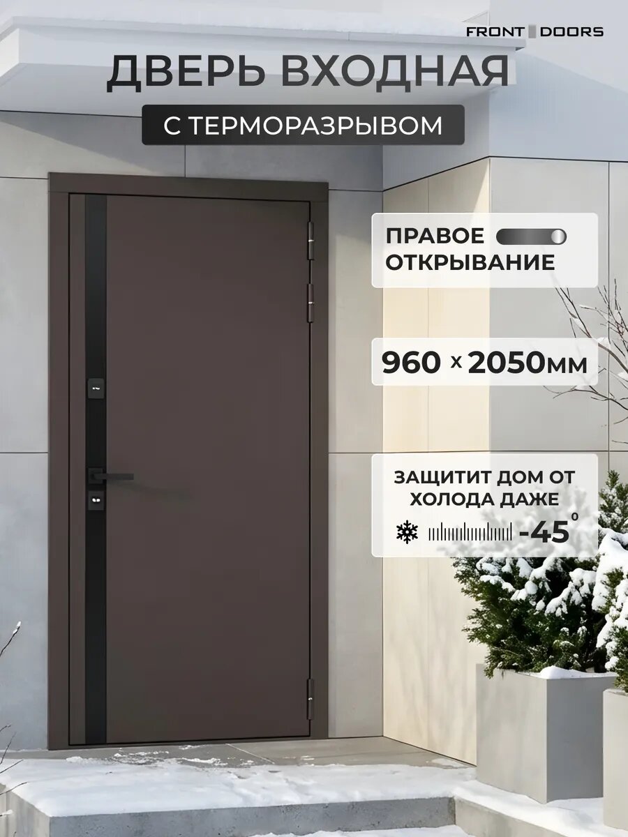 Дверь металлическая для дома TLPRO BL 950 правая 960х2050