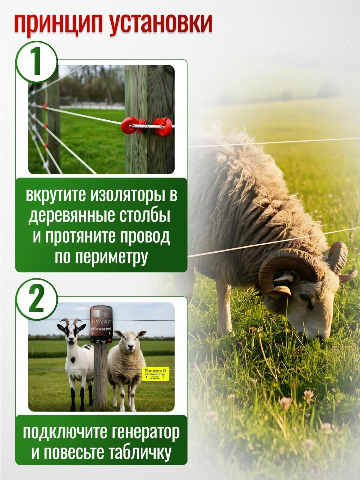 Электропастух , импульсный, 4 Дж, для лошадей, КРС, овец, коз, птиц, свиней, 5 Га, 10 км — фото 1