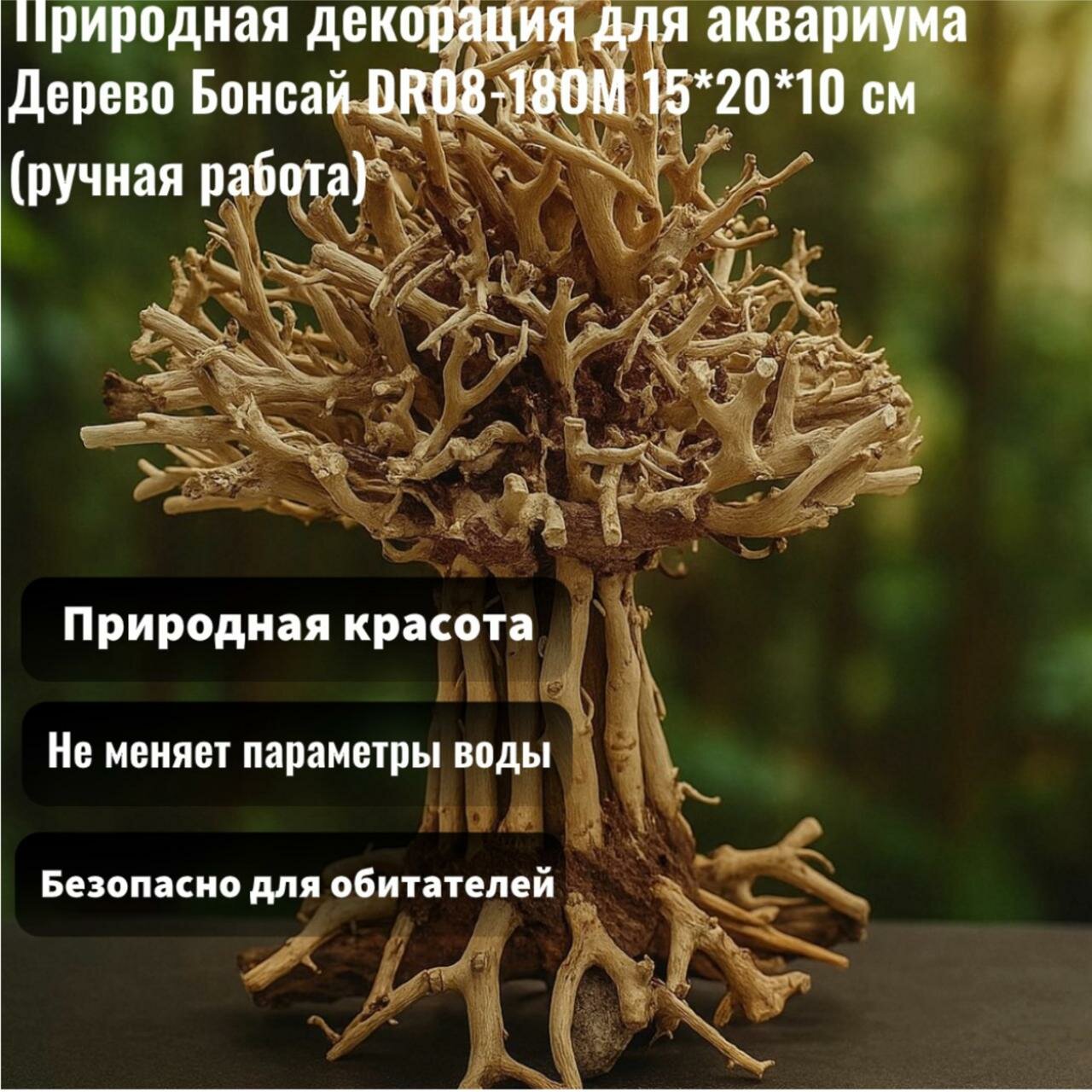 Природная декорация для аквариума Дерево Бонсай DR08-18OM 15*20*10 см (ручная работа)