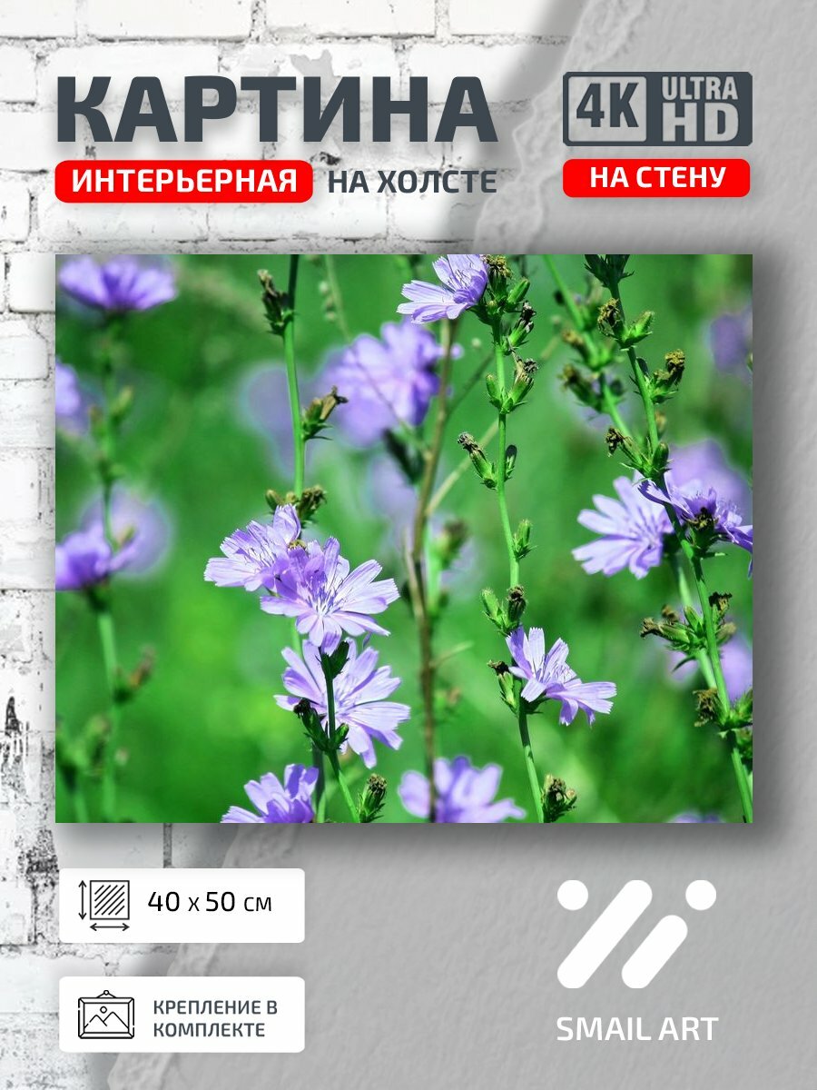Картина на холсте интерьерная 40 на 50 на стену Васильки Landscape для спальни пейзаж декор