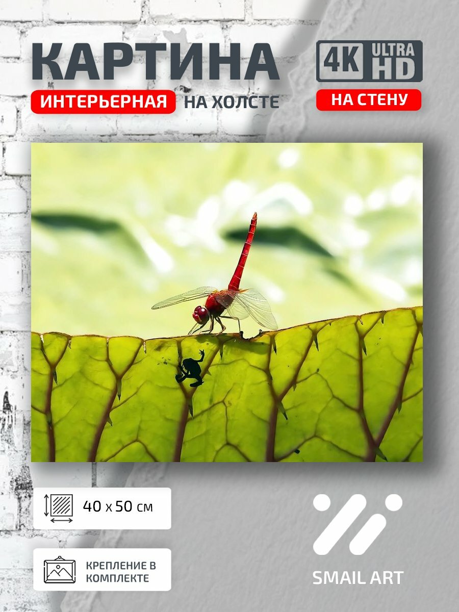 Картина на холсте интерьерная 40 на 50 на стену Листке Mood для гостиной атмосфера интерьер