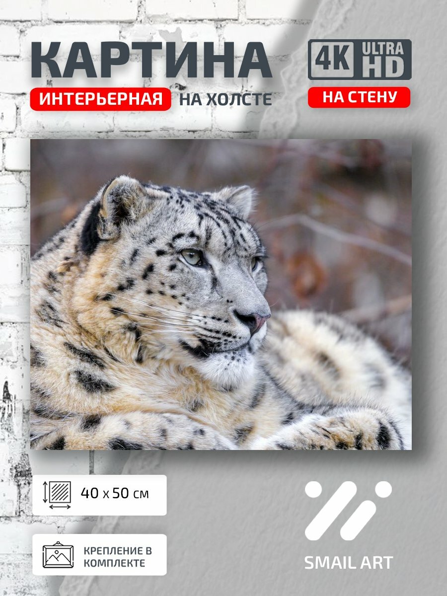Картина на холсте интерьерная 40 на 50 на стену Белый Mood для спальни атмосфера интерьер