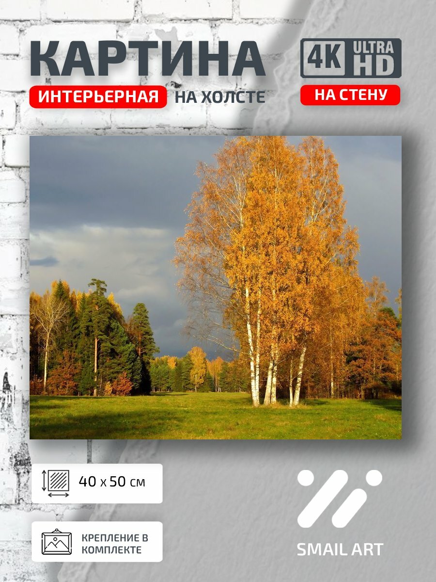 Картина на холсте интерьерная 40 на 50 на стену Поляна Landscape для кафе пейзаж интерьер
