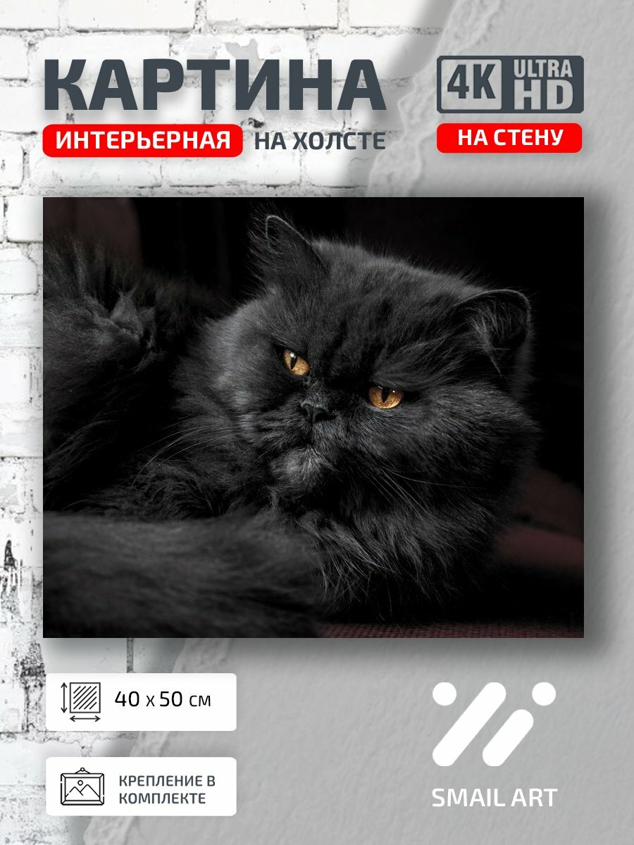 Картина на холсте интерьерная 40 на 50 на стену Шерсть Animal для кафе animal style декор