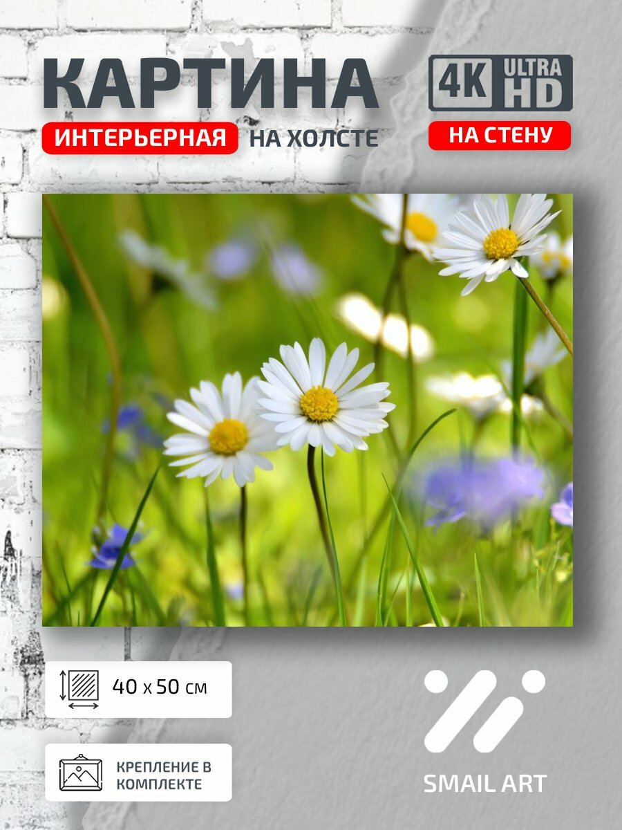Картина на холсте интерьерная 40 на 50 на стену Ромашки Mood для офиса атмосфера интерьер