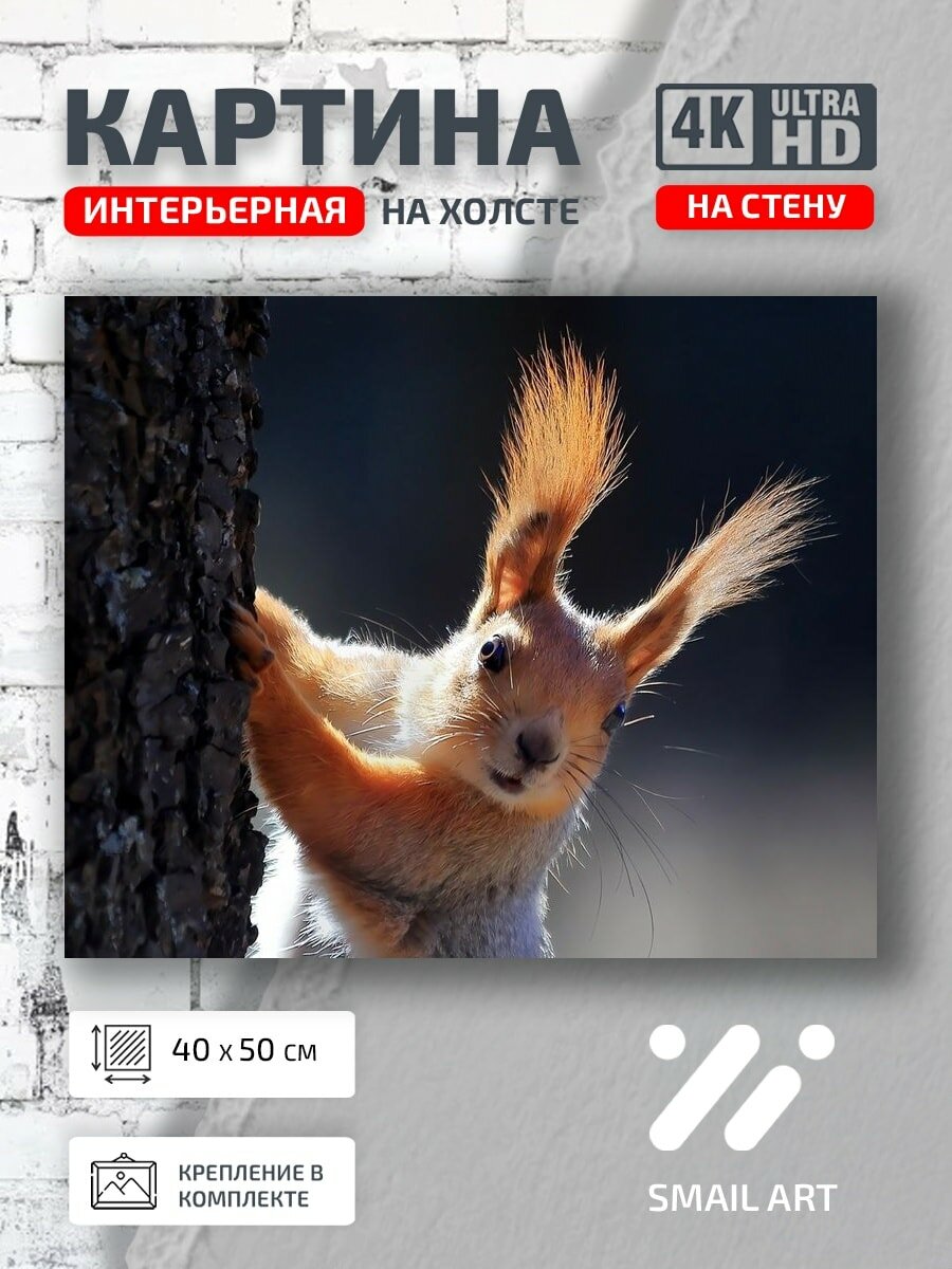 Картина на холсте интерьерная 40 на 50 на стену Животные белка для кабинета атмосфера