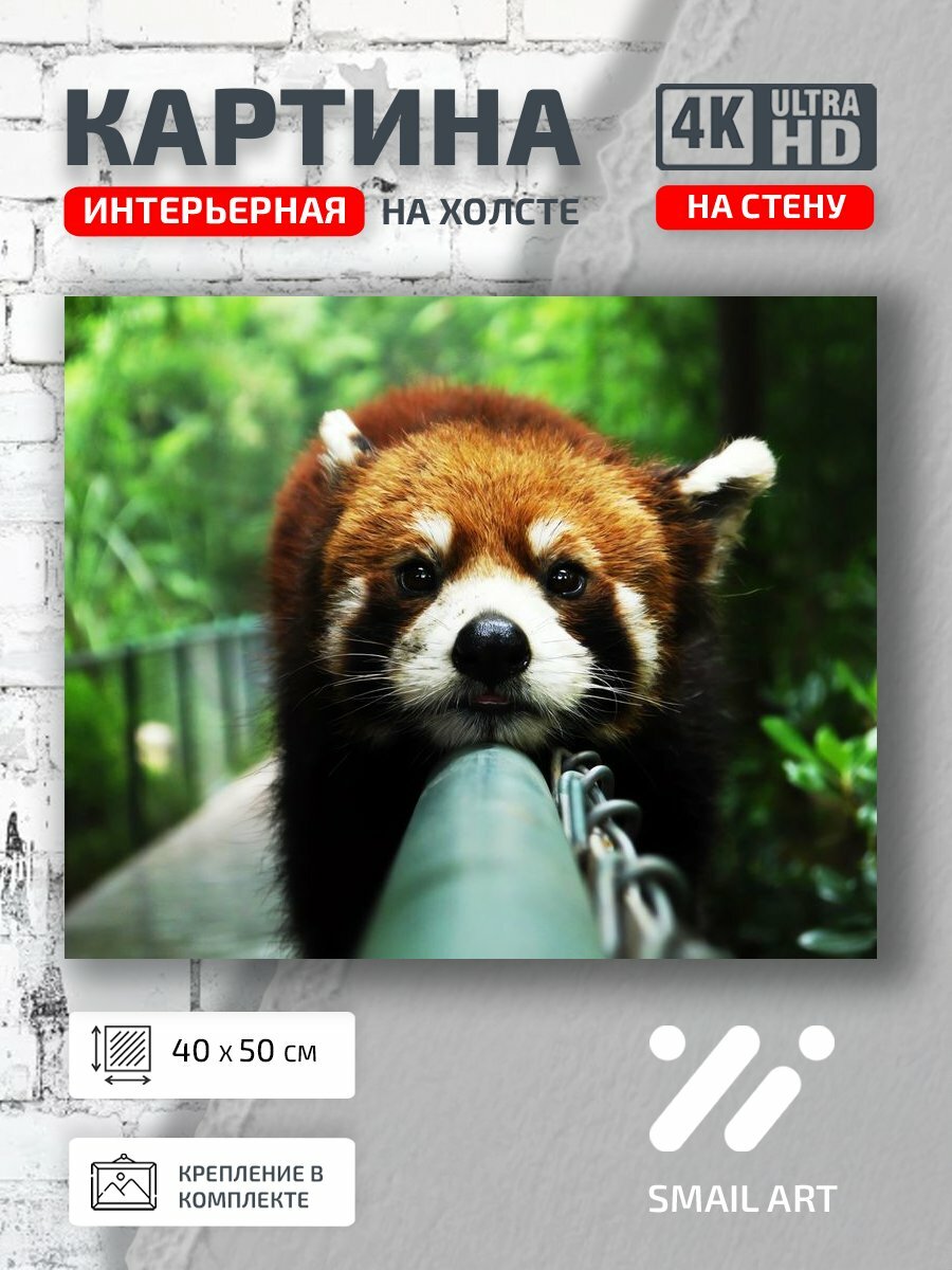 Картина на холсте интерьерная 40 на 50 на стену Панда Landscape для кафе пейзаж интерьер